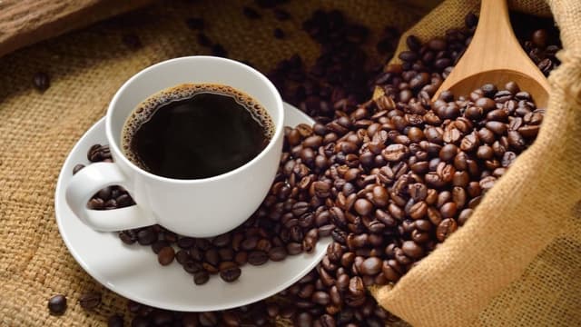 Exportação de café do Brasil recua 8% em março com queda na receita