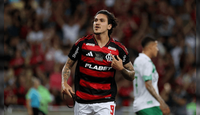 Flamengo x Red Bull Bragantino: onde assistir ao vivo, horário e odds