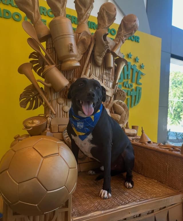 O "dono" da Granja: conheça PJ, o mascote oficial da Seleção Brasileira