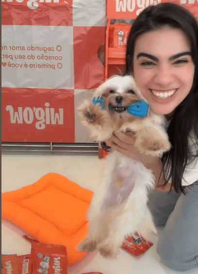 Cachorro assume live, faz promoção e vende produtos em rede social