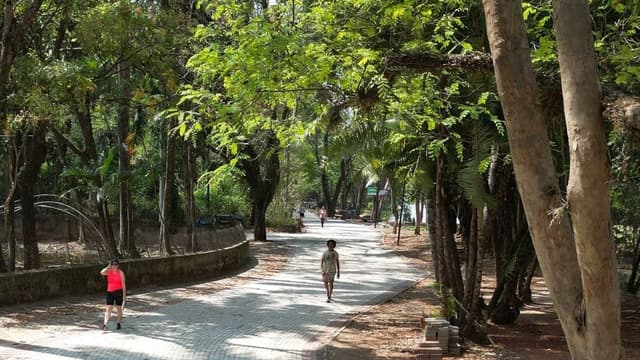 Campinas abre todos os parques e bosques após redução no acumulado de chuva
